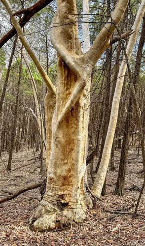 Best Walking Trails in Livingstone National Park | AllTrails