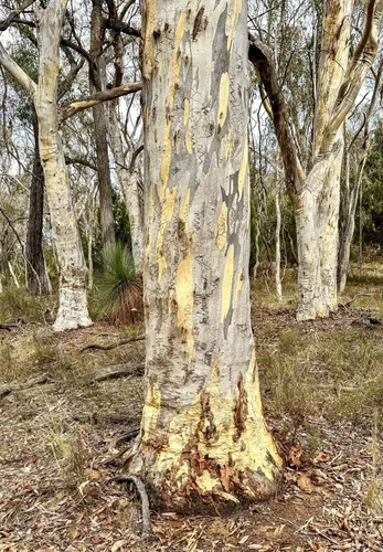 Best Walking Trails in Livingstone National Park | AllTrails