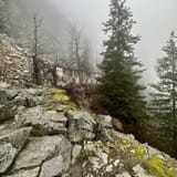 Iron Goat Trail, Washington - 1,385 Reviews, Map | AllTrails