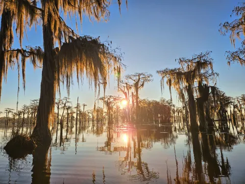 Best Hikes and Trails in Banks Lake National Wildlife Refuge | AllTrails