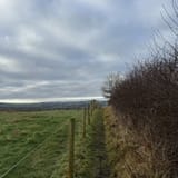 Beamish Park and Causey Arch Circular, County Durham, England - 407 ...