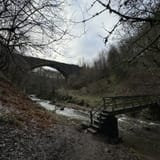 Beamish Park and Causey Arch Circular, County Durham, England - 407 ...
