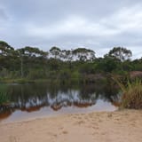 Woy Woy Waterfall Pool via Tunnel Trail, New South Wales, Australia ...