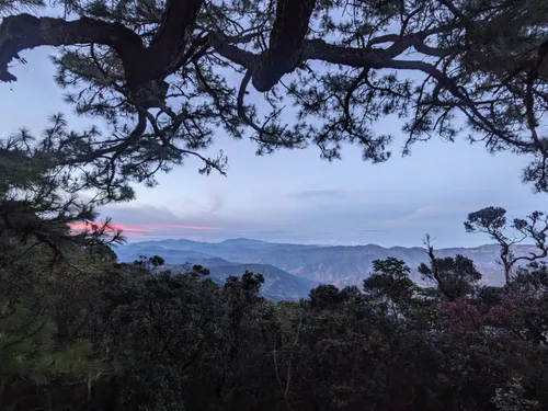 Best Hikes and Trails in Mt. Pulag National Park | AllTrails