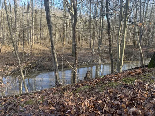 Best Hikes and Trails in Hashawha Environmental Center | AllTrails