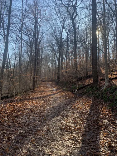 Best Hikes and Trails in Hashawha Environmental Center | AllTrails