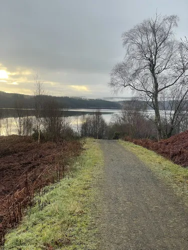 10 Best Walking Trails in Kielder Forest | AllTrails