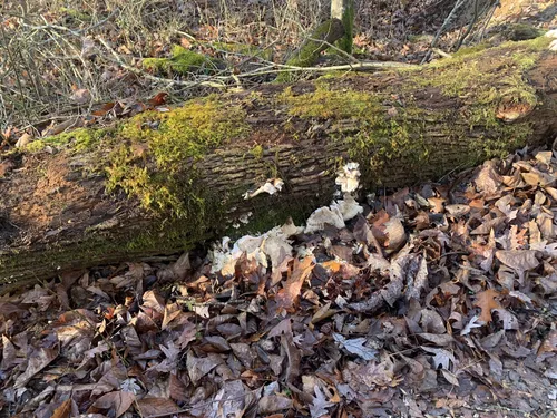 Best Hikes and Trails in Hashawha Environmental Center | AllTrails