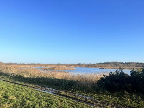 Best Hikes and Trails in RSPB Middleton Lakes | AllTrails