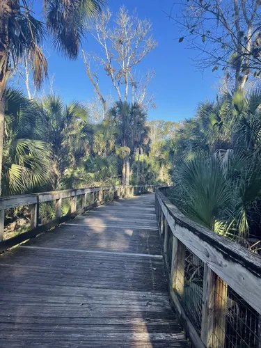 Best Hikes and Trails in Graham Swamp Conservation Area | AllTrails