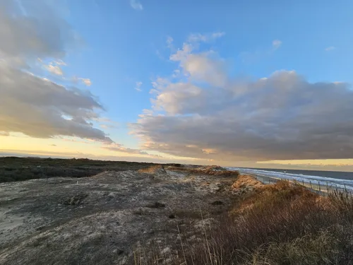 Best Hikes and Trails in Currituck Banks Reserve | AllTrails