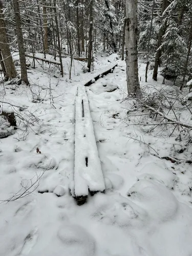 Best Hikes and Trails in Maynooth | AllTrails