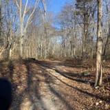 Bluff Point State Park and Coastal Reserve Loop, Connecticut - 3,491 ...