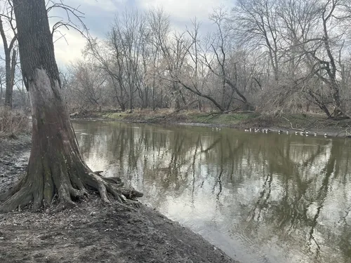 Best Hikes and Trails in Thatcher Woods Glen | AllTrails