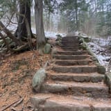 Congdon Park, Minnesota - 507 Reviews, Map | AllTrails