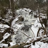 Congdon Park, Minnesota - 429 Reviews, Map | AllTrails