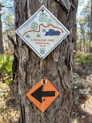 Best Hikes and Trails in Point Washington State Forest | AllTrails