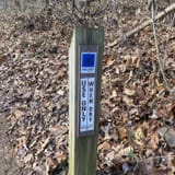 Stringers Ridge via Blue Trail, Tennessee - 1,820 Reviews, Map | AllTrails