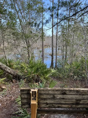 Best No Dogs Trails in Gulf Breeze | AllTrails