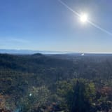 Wintu Loop, California - 235 Reviews, Map | AllTrails