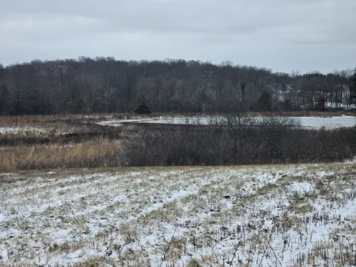 Best Forest Trails in Bath Nature Preserve | AllTrails