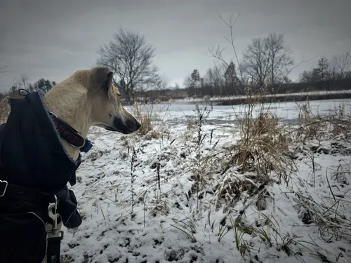 Best Forest Trails in Bath Nature Preserve | AllTrails
