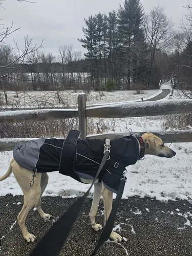 Best Forest Trails in Bath Nature Preserve | AllTrails