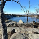 Halibut Point Trail, Massachusetts - 1,181 Reviews, Map | AllTrails