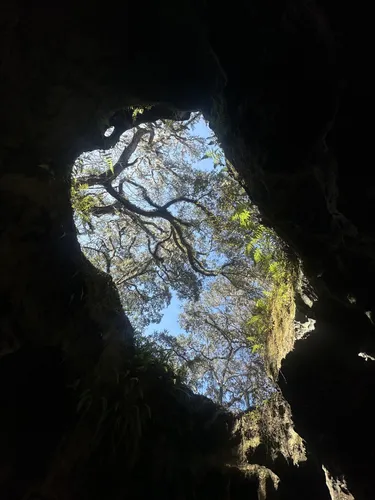 Best Hikes and Trails in Citrus Wildlife Management Area | AllTrails