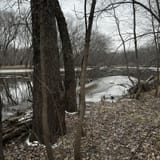 Rum River Central, Minnesota - 349 Reviews, Map | AllTrails