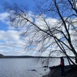 Shuman Blue Loop, Pennsylvania - 1,061 Reviews, Map | AllTrails