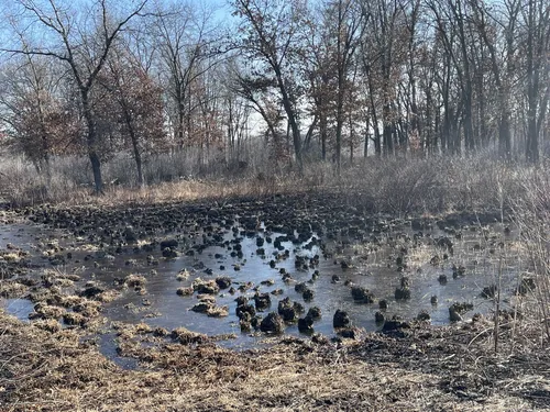 Best Walking Trails in Griffith | AllTrails