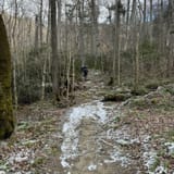 Ramsey Cascades Trail, Tennessee - 2,173 Reviews, Map | AllTrails