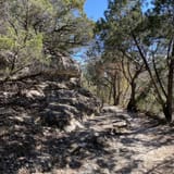 Jacob’s Well Trail, Texas - 406 Reviews, Map | AllTrails