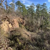 Torreya Trail, Florida - 438 Reviews, Map | AllTrails