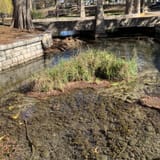 Landa Park Loop, Texas - 451 Reviews, Map | AllTrails