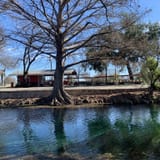 Landa Park Loop, Texas - 451 Reviews, Map | AllTrails