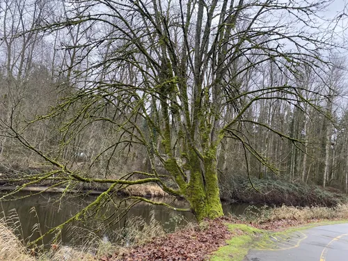 Best Hikes and Trails in Bothell Landing Park | AllTrails