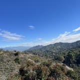 Fryman Canyon Trail, California - 5,951 Reviews, Map | AllTrails