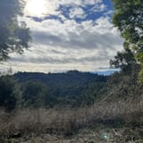 Fryman Canyon Trail, California - 5,951 Reviews, Map | AllTrails