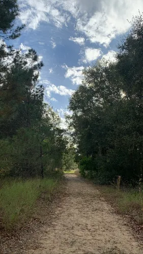 Best Hikes and Trails in Ferndale Preserve | AllTrails
