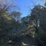 Round Top, Volcanic and Skyline Loop, California - 2,859 Reviews, Map ...