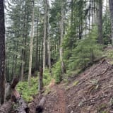 Tire Mountain Trail, Oregon - 149 Reviews, Map | AllTrails