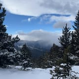Chief Mountain Trail, Colorado - 8,249 Reviews, Map | AllTrails