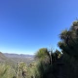 Mount Cordeaux Track, Queensland, Australia - 486 Reviews, Map | AllTrails