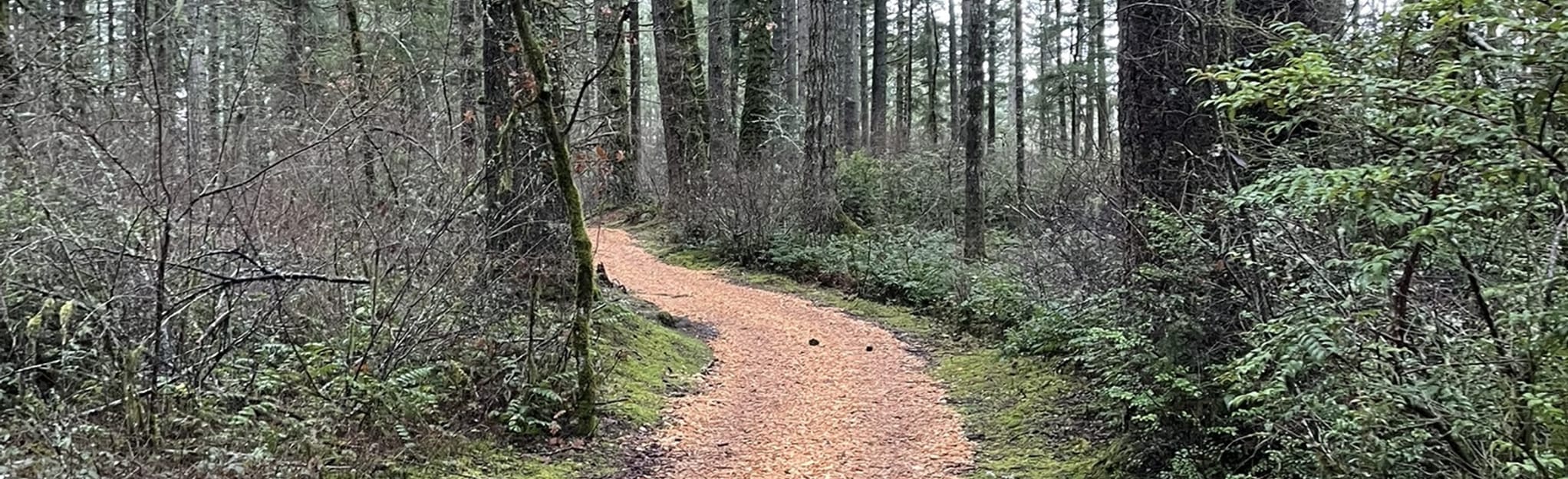 Huff and Puff Park Loop, Washington - 70 Reviews, Map | AllTrails