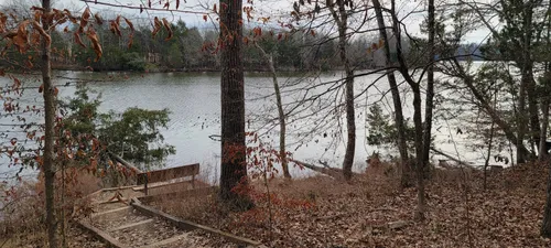 Best Hikes and Trails in Bells Bend Park | AllTrails