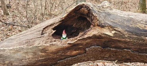 Best Hikes and Trails in Bells Bend Park | AllTrails