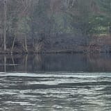 Fresh Pond Reservation Loop Trail, Massachusetts - 1,130 Reviews, Map ...