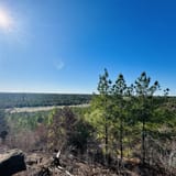 Lost Pines Trail, Texas - 671 Reviews, Map | AllTrails